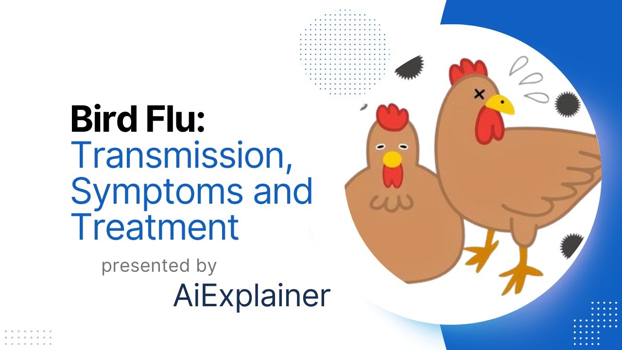 Bird Flue: Transmission, Symptoms and treatment. - YouTube