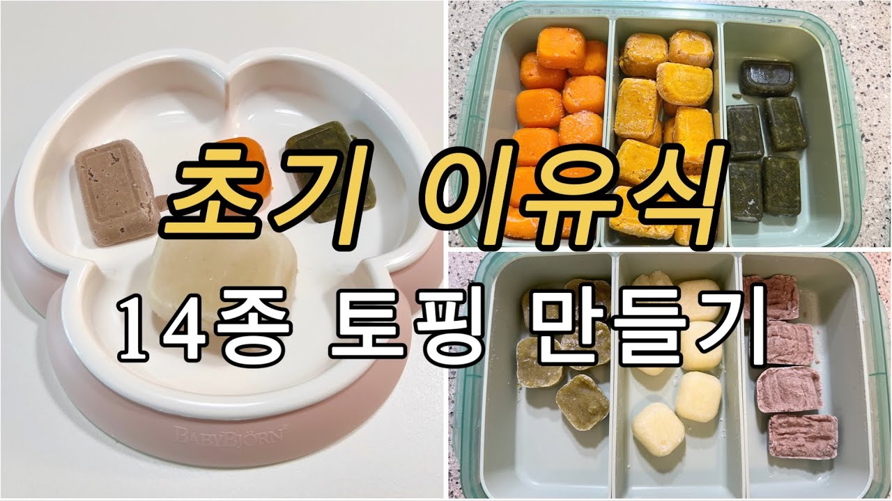 초기이유식은 이것만 보세요 ️ 토핑이유식 14종 재료로 만들기🥣 쌀미음부터 달걀까지 정리해드림 육아일상 육아브이로그