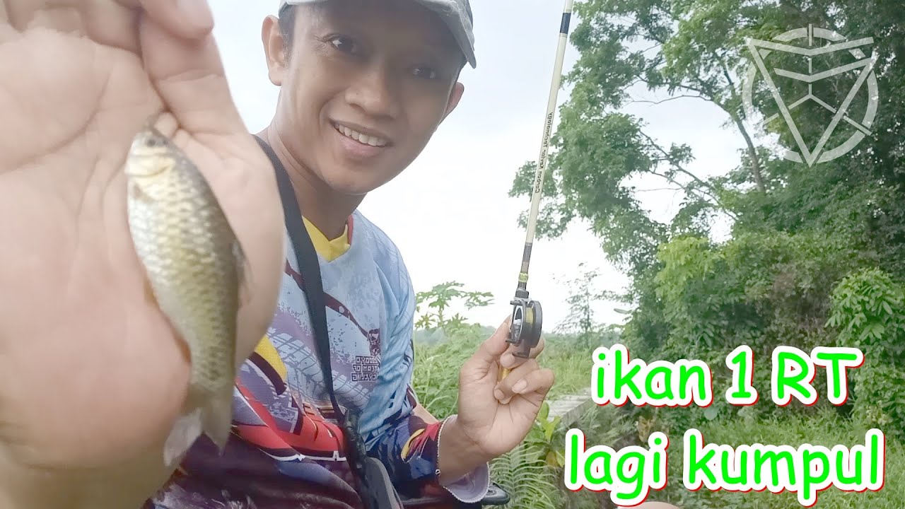 mancing wader, ikan 1 rt pada kumpul STRIKE!! bertubi-tubi - YouTube