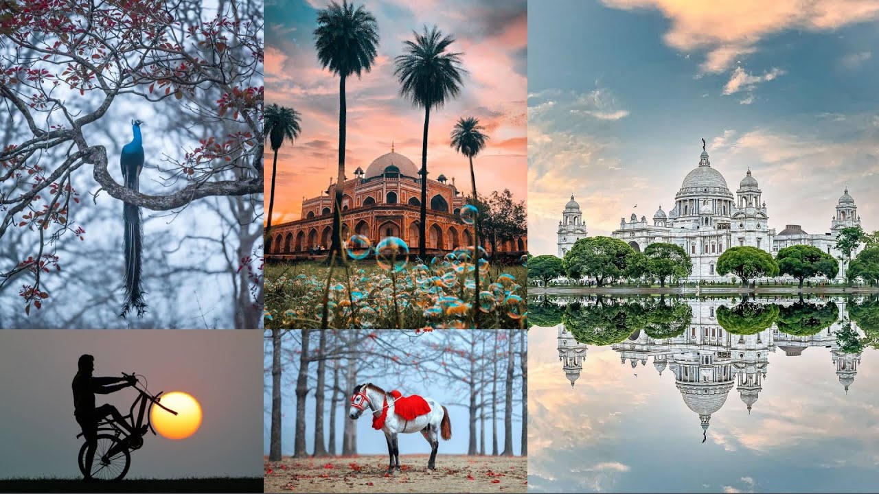 BEST PHOTOGRAPHY INDIA | NATURE | WILD | ART | ANIMALS | CREATIVE ...