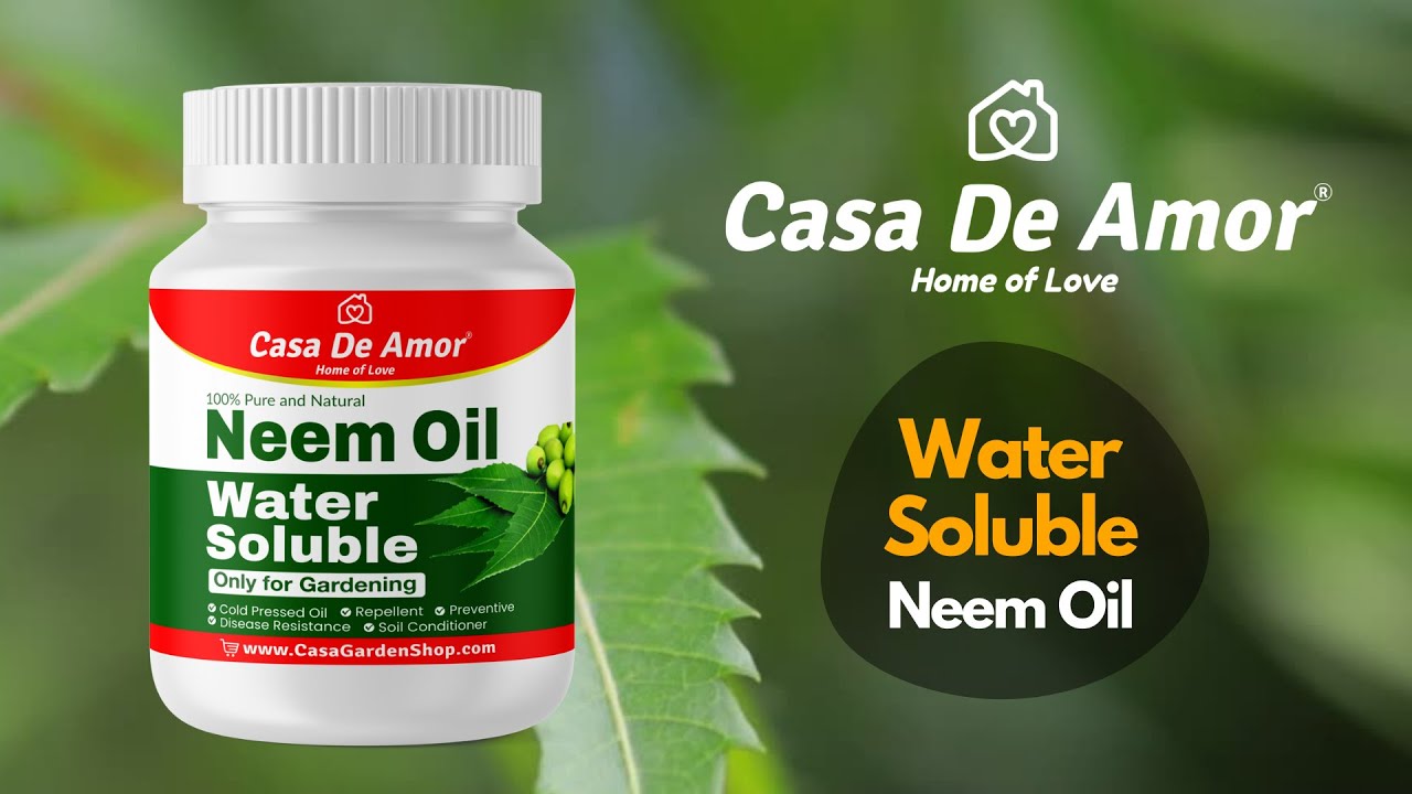 How to Use Water Soluble Neem Oil For Plants | Casa De Amor Natural ...