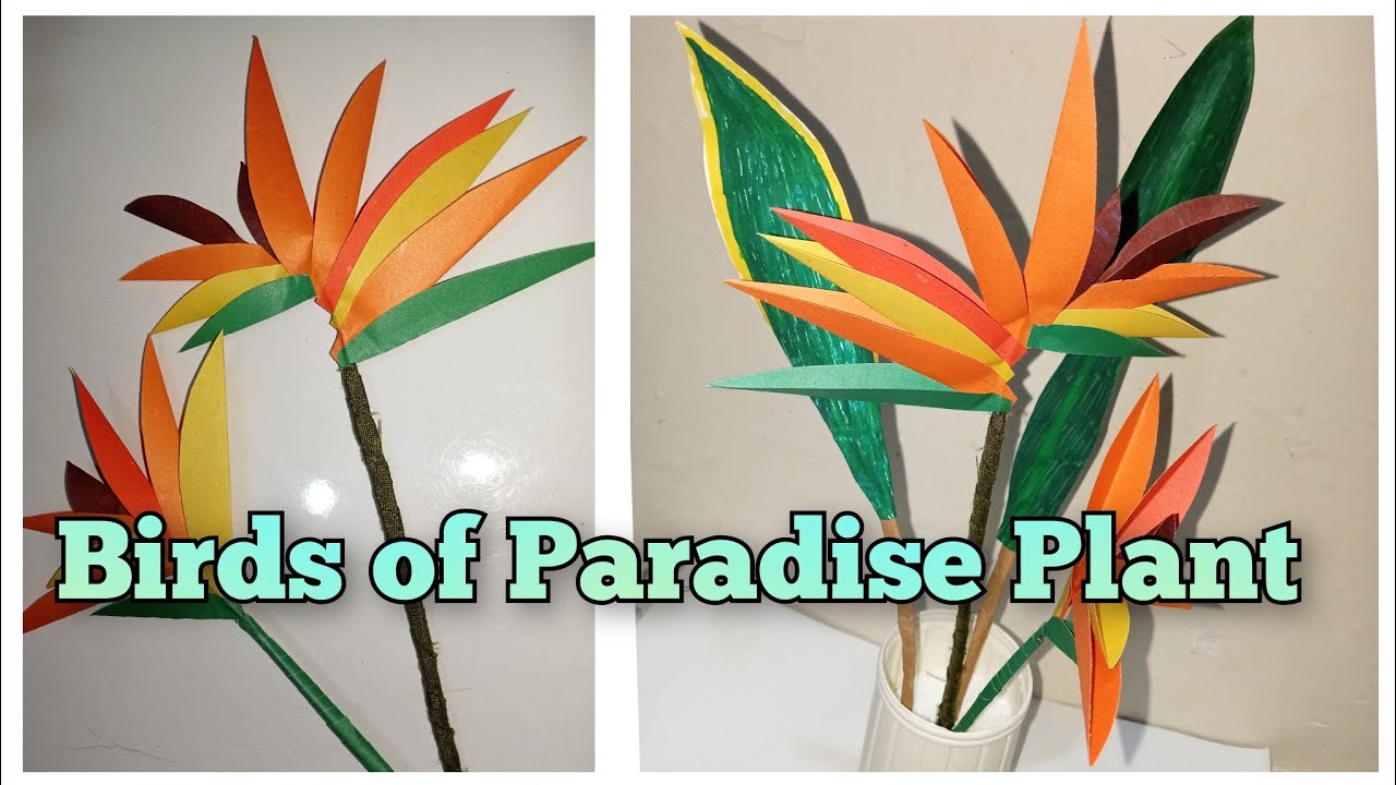 DIY Paper Bird's Of Paradise Plants - YouTube