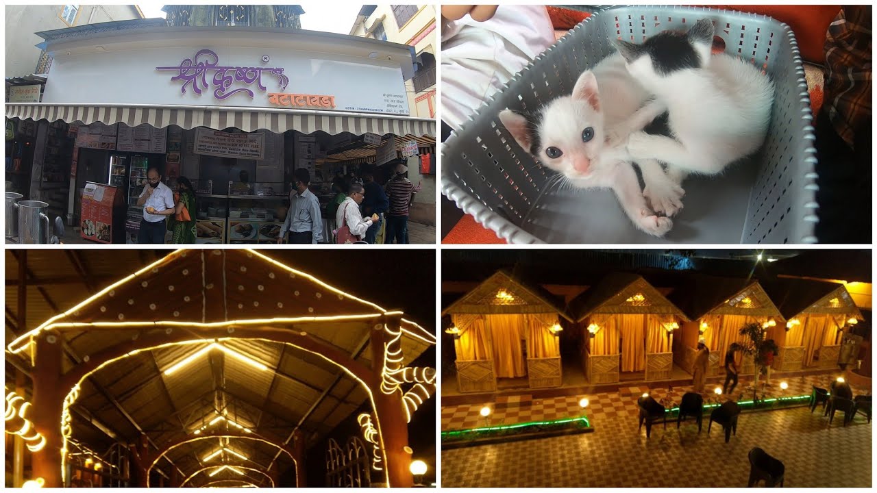 Weekend ho toh aisa 😂 || Elaf Dhaba || Kittens || Shree Krishna Batata ...