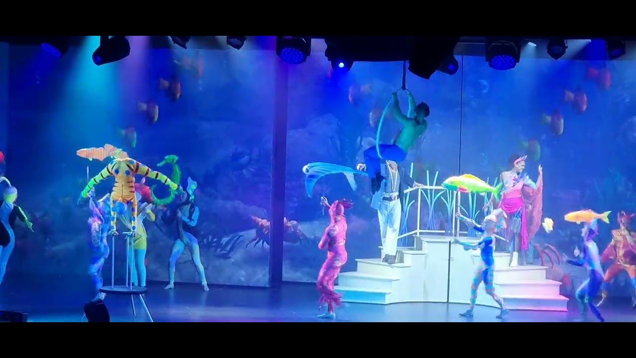 MSC Seascape.Spectacle du 13 août 2023."Imaginocean". - YouTube