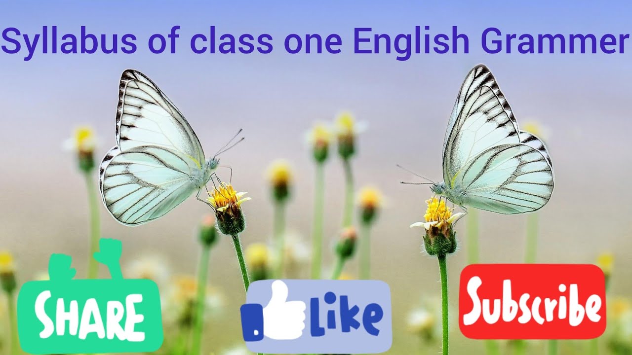 Syllabus of Class One/Grade 1 Syllabus/English Grammer/ Syllabus of ...
