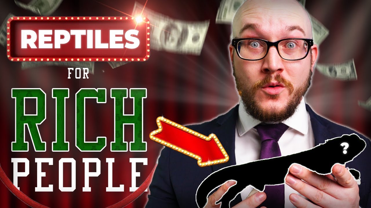 Top 5 Reptiles for Rich People! - YouTube