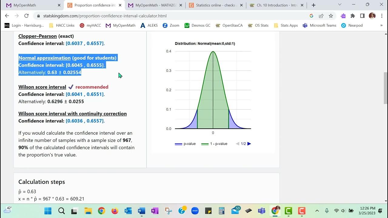 Using Statskingdom to create a confidence interval to estimate a population proportion - YouTube