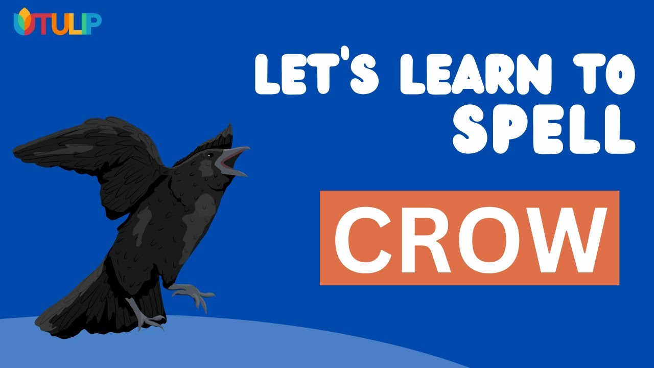Learn to sound and spell crow - YouTube