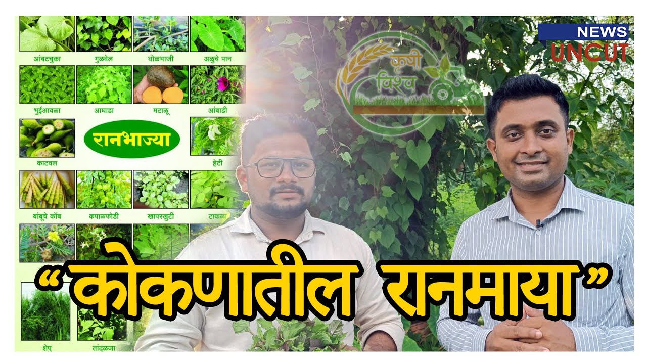 कृषी विश्व। महत्व कोकणातील रानभाज्यांचे । Importance of wild vegetables ...