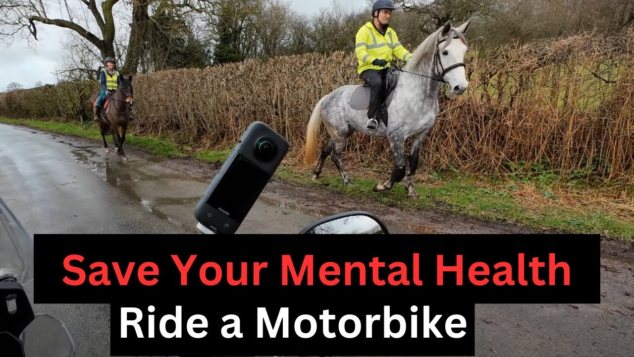 Time to buy a motorcycle to save your mental health?? Evidence that ...
