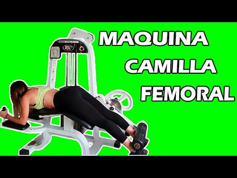 Maquina camilla femoral DOBLE GYM - YouTube
