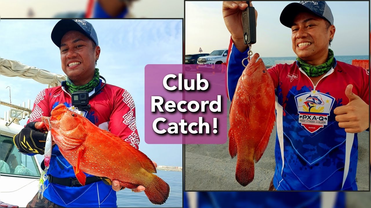 Catching the biggest Red Grouper in our Club History | Fishing in Qatar ...