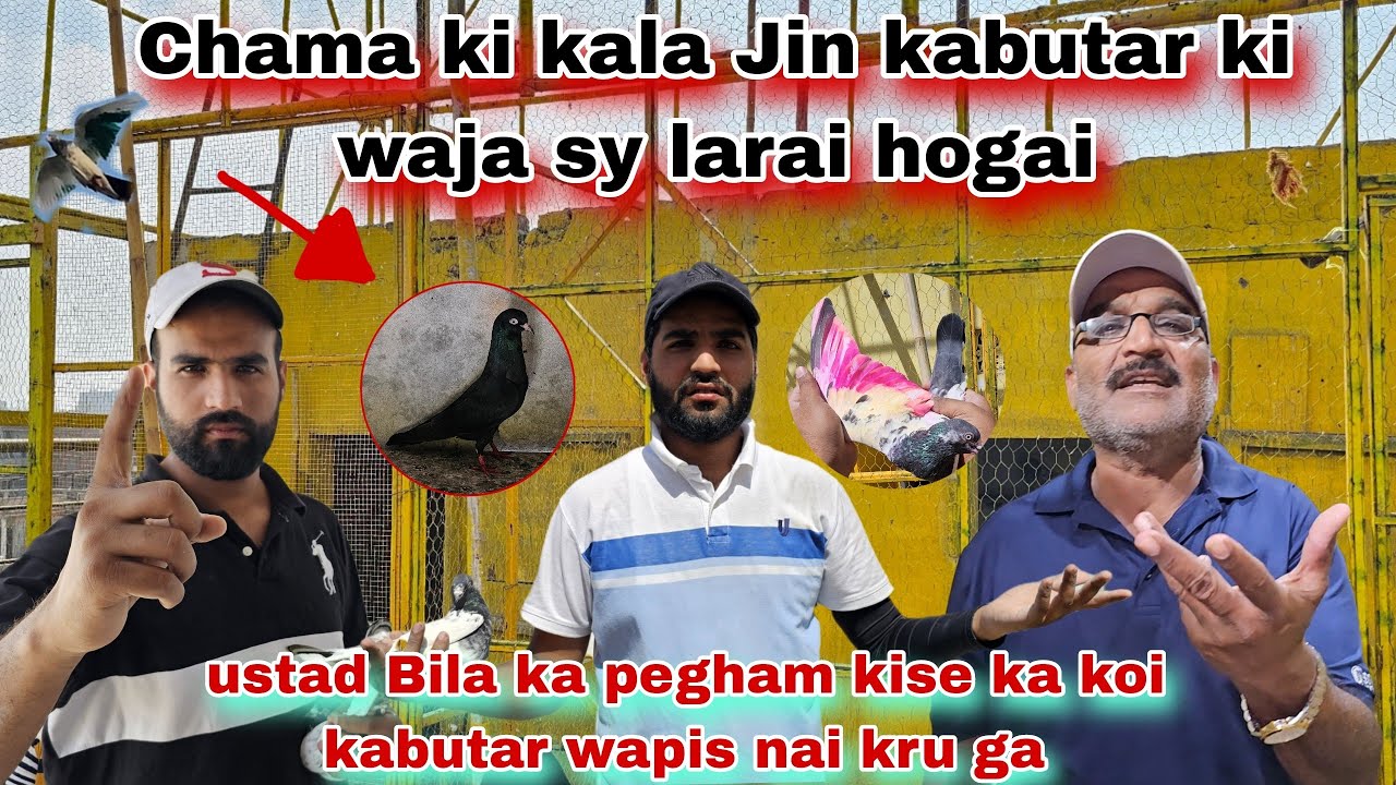 Chama ki kala Jin ki waja sy larai hogai🥹ustad Bila ka pegham kise ka ...
