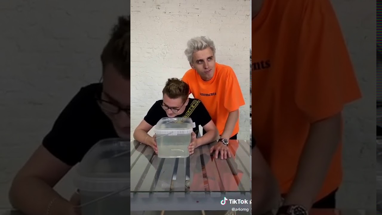 Kobyakov A4 Tik Tok - YouTube