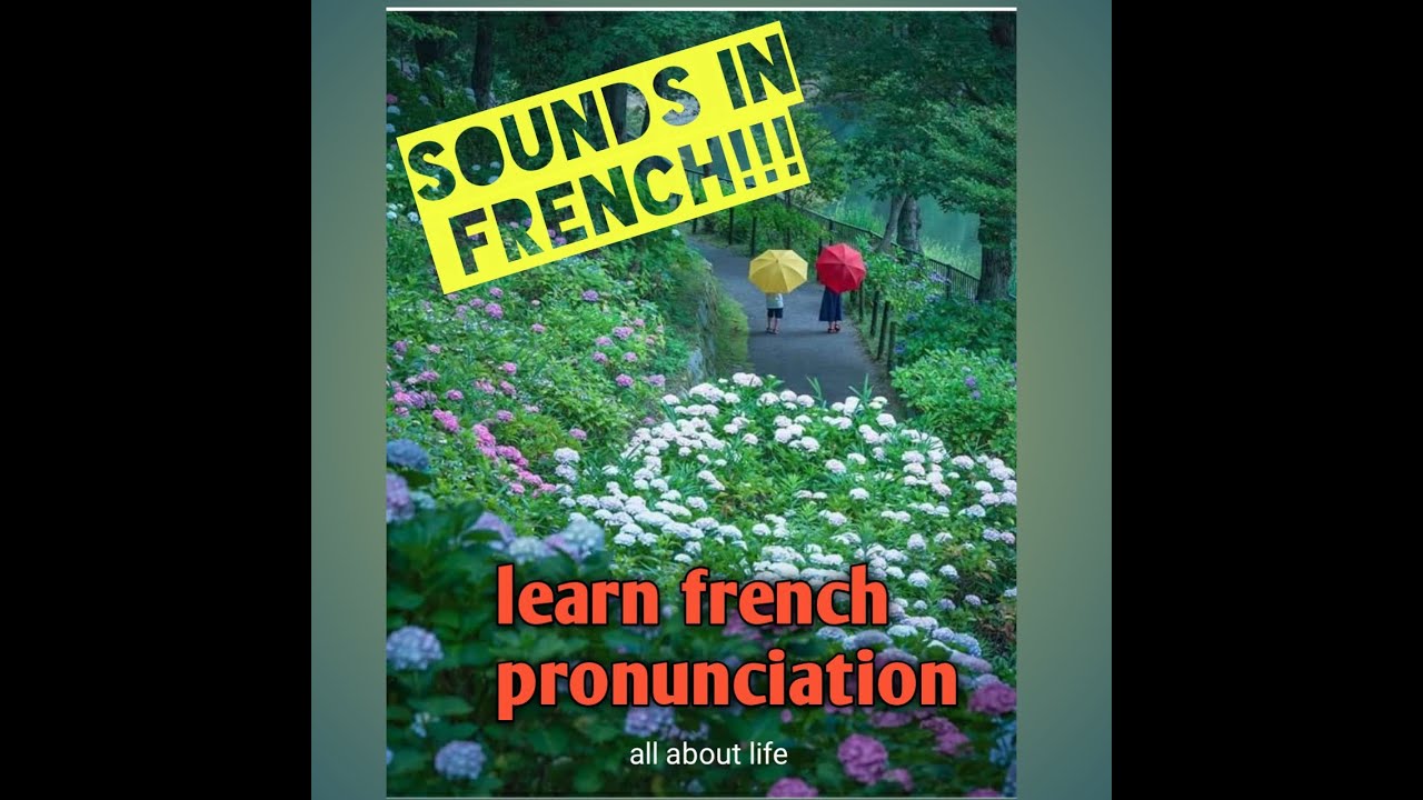 French Lesson 6 5 sounds In French How To Learn French french-lesson-6-5-sounds-in-french-how-to-learn-french