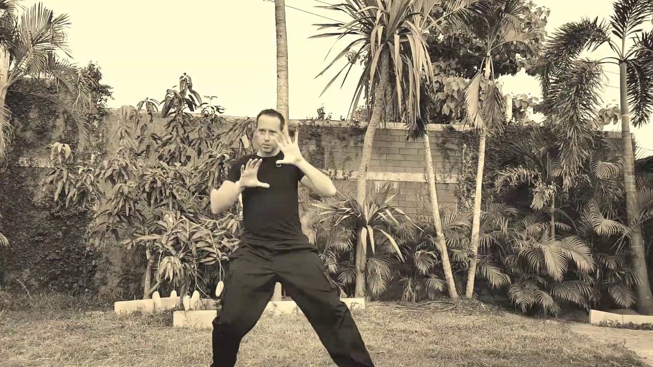 Ninja Shinobi Hand Strike Training | Taijutsu | Ninjutsu | 忍術 - YouTube
