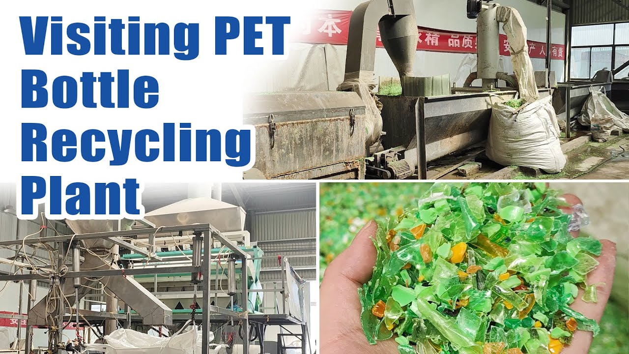 Exploring a PET Bottle Recycling Plant: Unveiling the Recycling Process ...