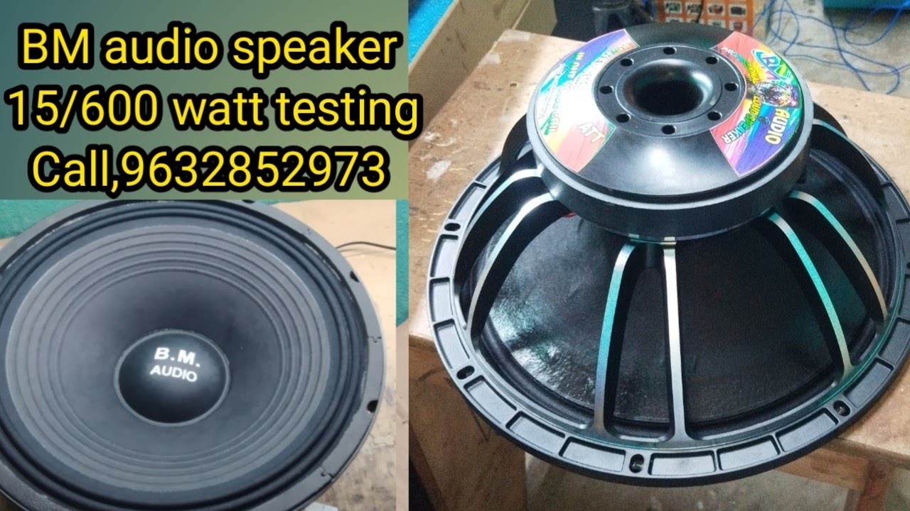 BM audio 15/600 watt speakee testing video call,9632852973 - YouTube
