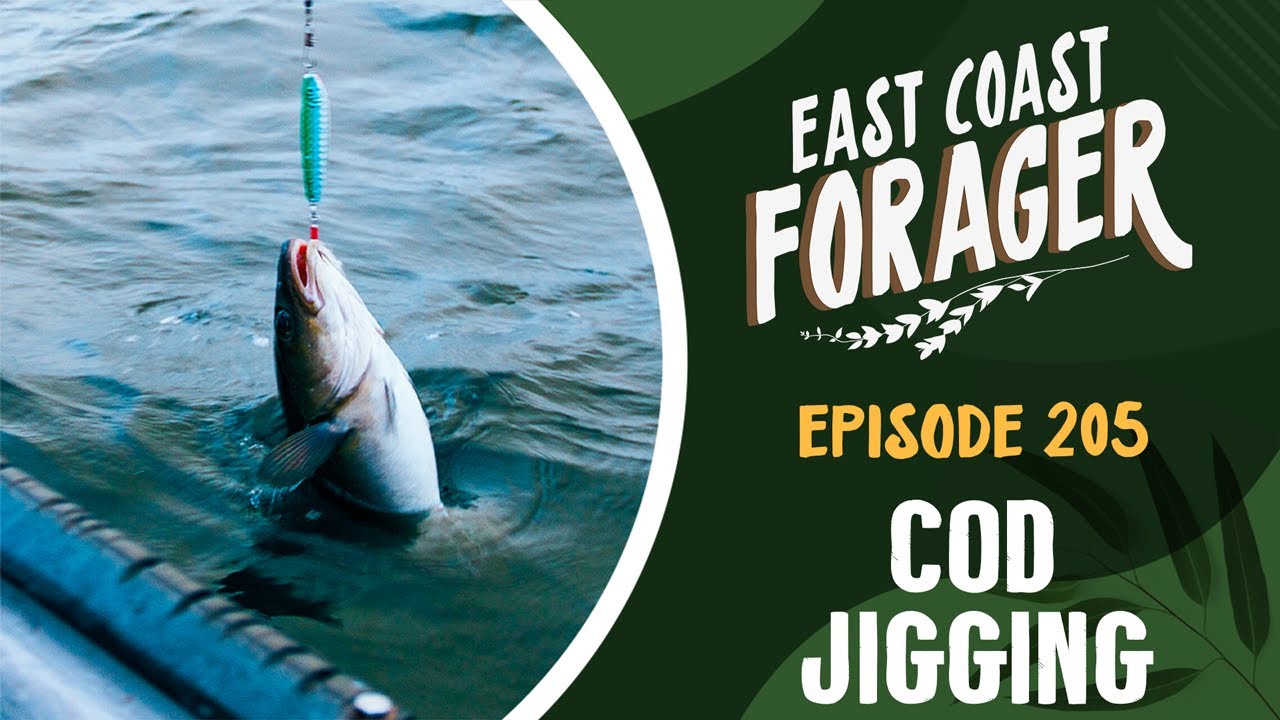 Cod Jigging | East Coast Forager Ep. 205 - YouTube