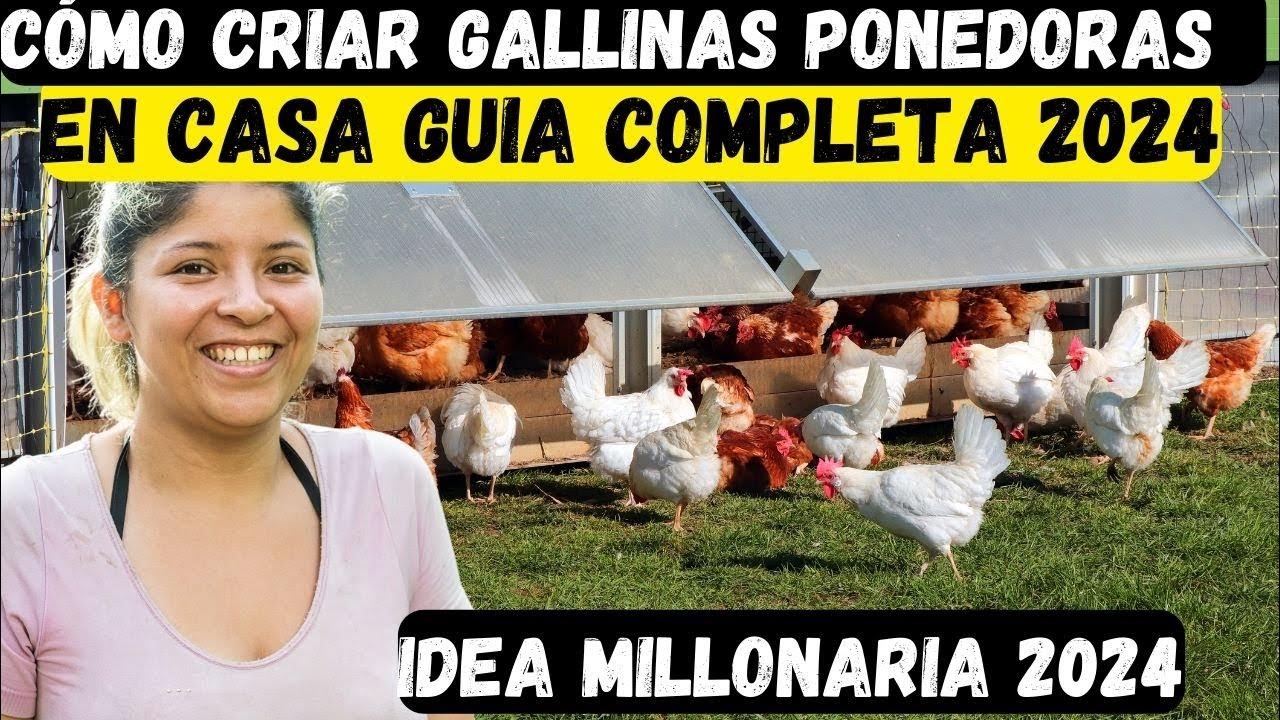 Cómo CRIAR Gallinas Ponedoras En CASA guia completa generea riquezas 2024 - YouTube