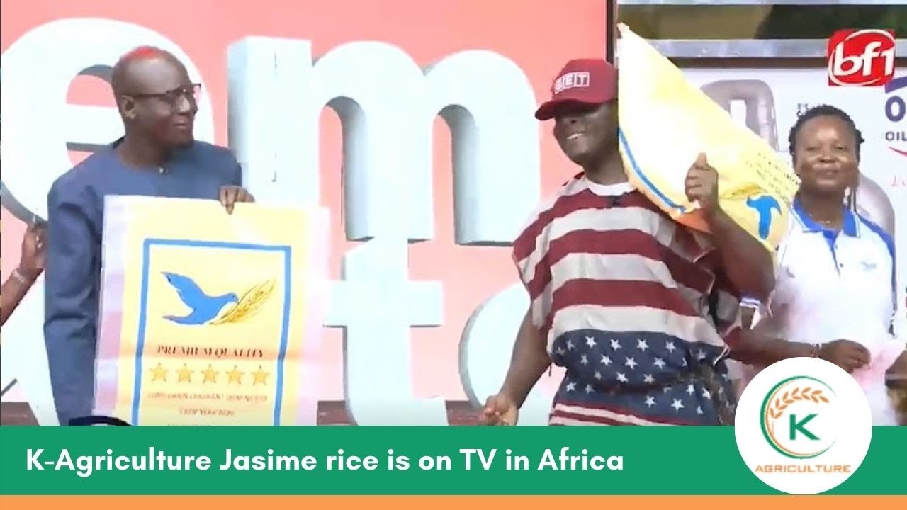 K-Agriculture Jasmine rice is on TV in Africa - YouTube