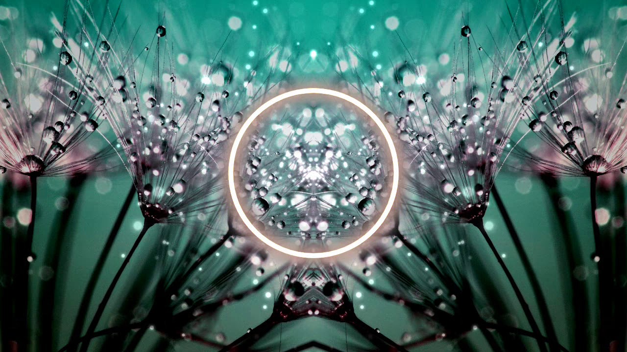 Fresh Time-Roa【No Copyright Music】 - YouTube