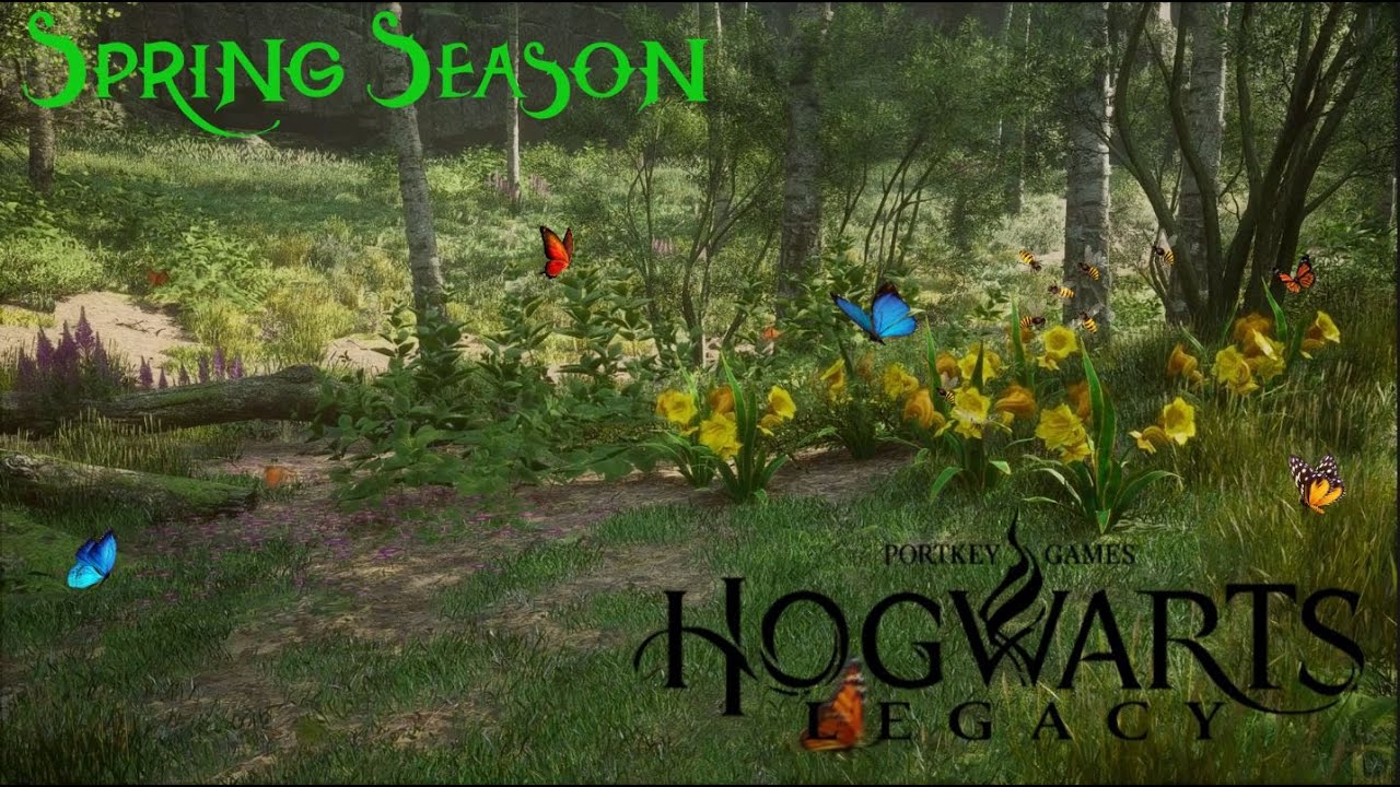 Hogwarts Legacy - Spring season - Bees and butterflies. Relaxing ...