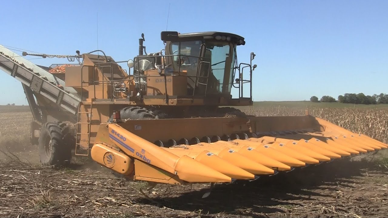 Oxbo 8435 Seed Harvester Schmitt Farms On 9 23 2012 Youtube