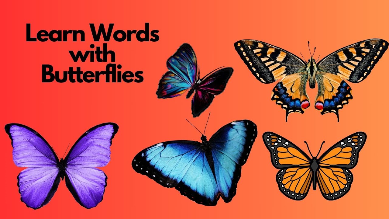 Words Fluttering with Butterflies: Kids' Learning Extravaganza! - YouTube
