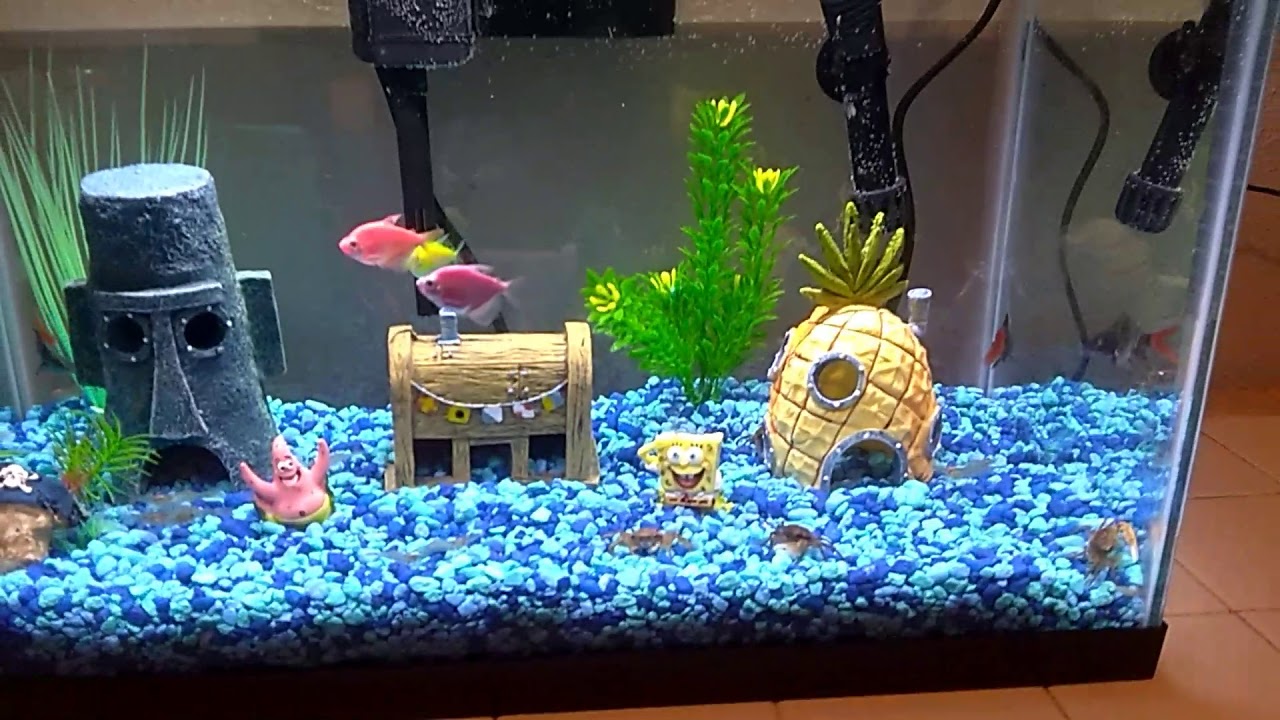 Taylin's SpongeBob Aquarium - YouTube