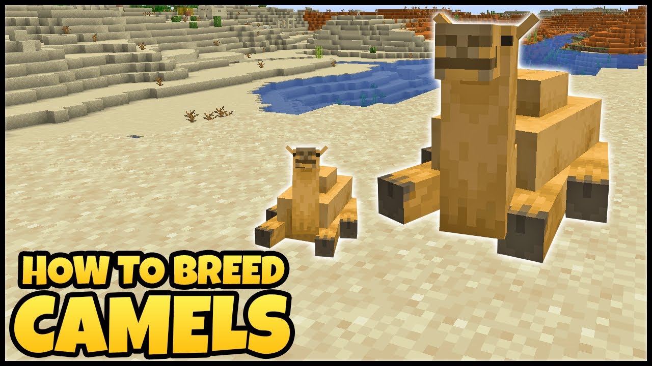 How To BREED CAMELS In MINECRAFT - YouTube