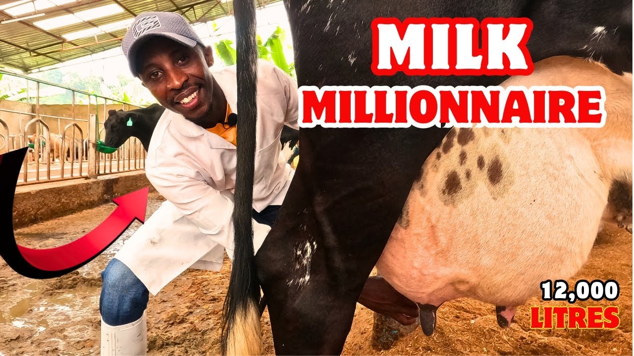 MUGAMBO WA MURIMI - Start Dairy Farming Now and Make Money | Anthony ...