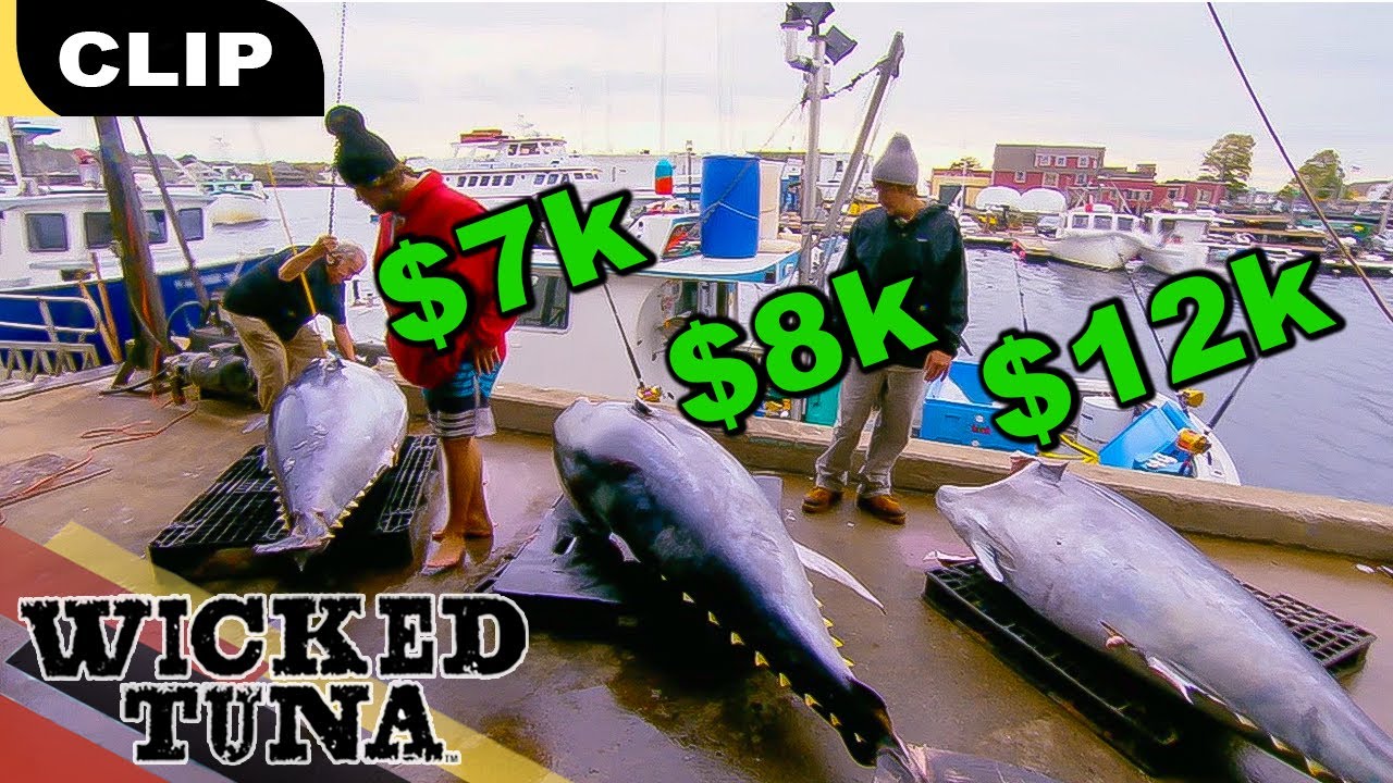 The Pinwheel Boys Bring in $27K | S2E15 | Wicked Tuna - YouTube