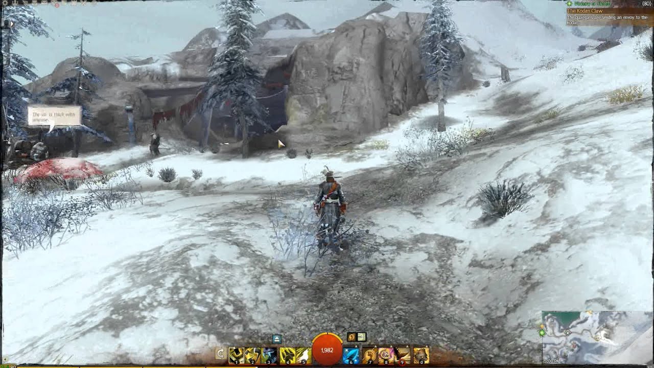 GW2 Ranger Pet Locations - Owl - YouTube