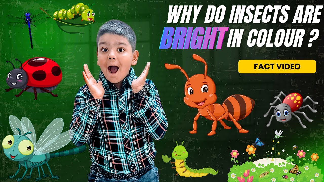 Why Are Insects So Colorful? 🌈 Fun Facts for Kids! | Kids Learning ...