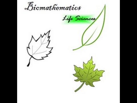 Introduction to Matlab for medical doctors and biologists (call) - YouTube