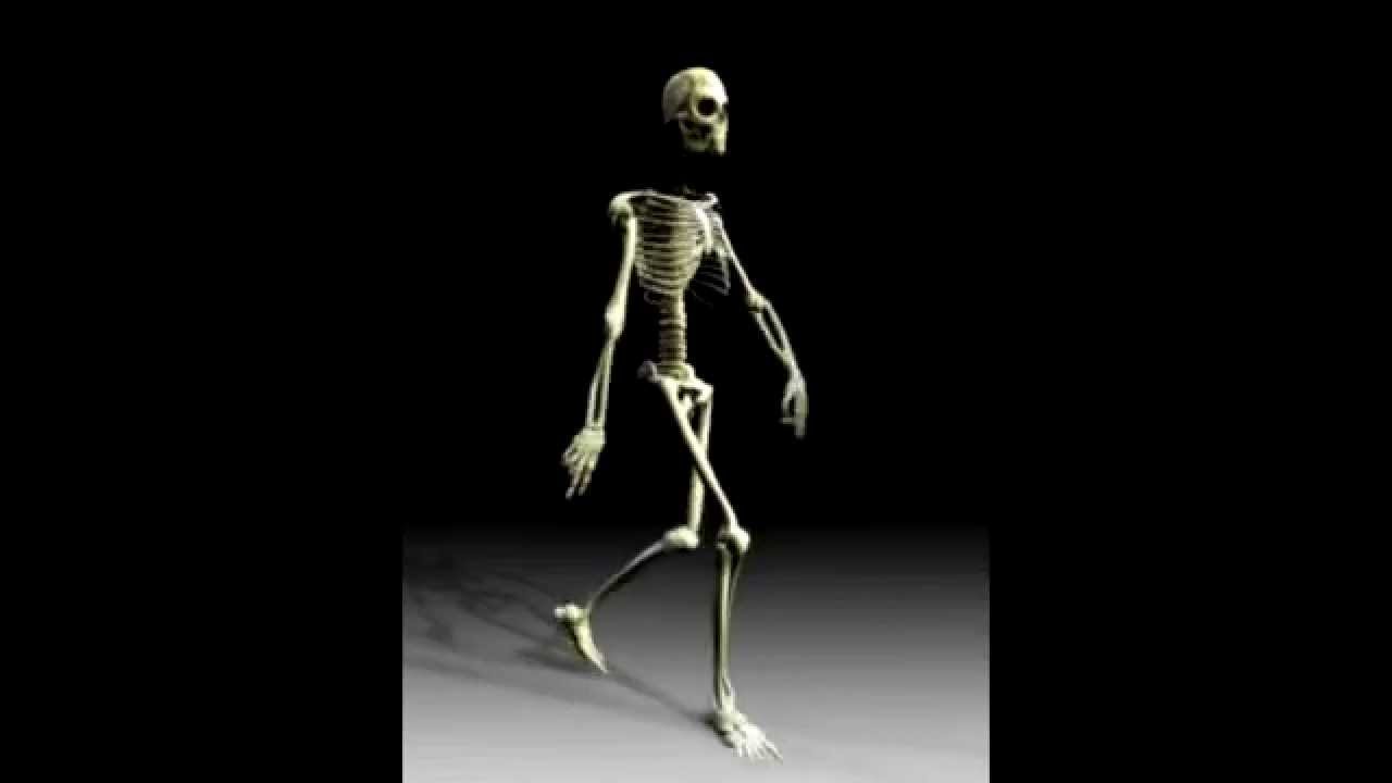 when you realise there is a skeleton inside your body - YouTube