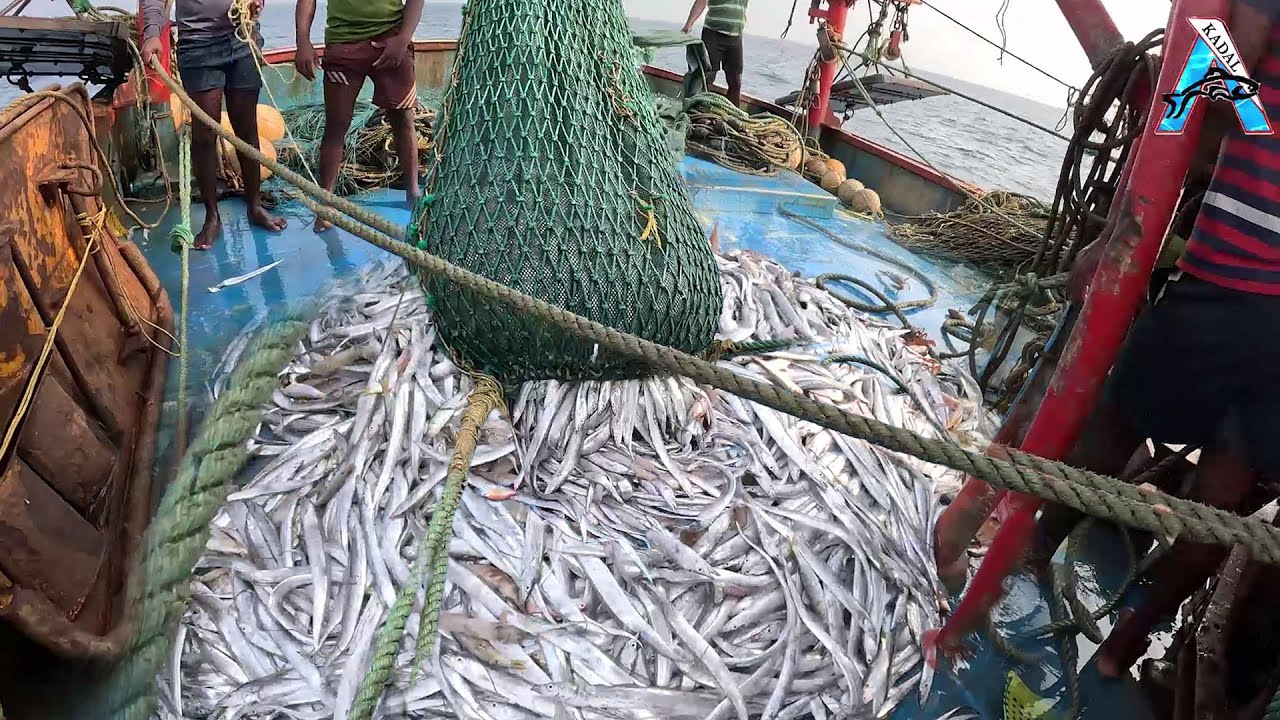 Unbelievable Big Catch Fishing In The Deep Sea | Latest Fish Video ...