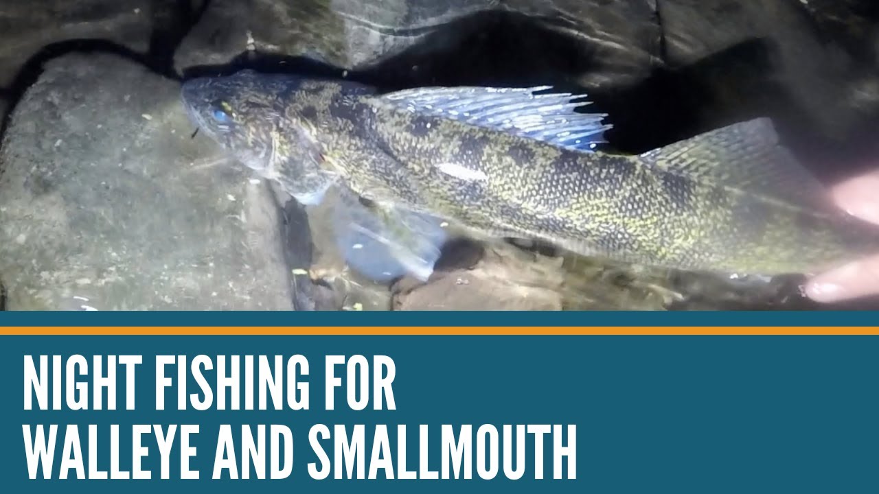 Night Fishing With Lures, Walleye, Smallmouth Bass, Channel Catfish ...