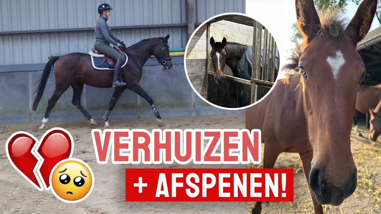Ernie verhuizen, Charlie afspenen & Roos koliek... || Vlog #296 - YouTube