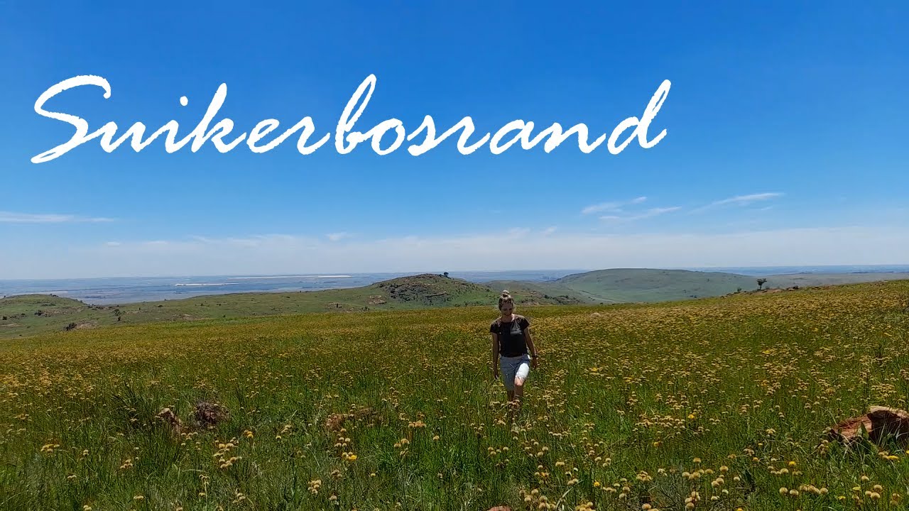 #3. Suikerbosrand Nature Reserve Drive | South Africa - YouTube