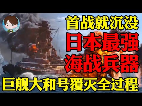 日本最强海战兵器大和号为何首战就沉没？一个视频看懂海战从巨舰巨炮崇拜到没落的转变丨男人们的大和号解析合集