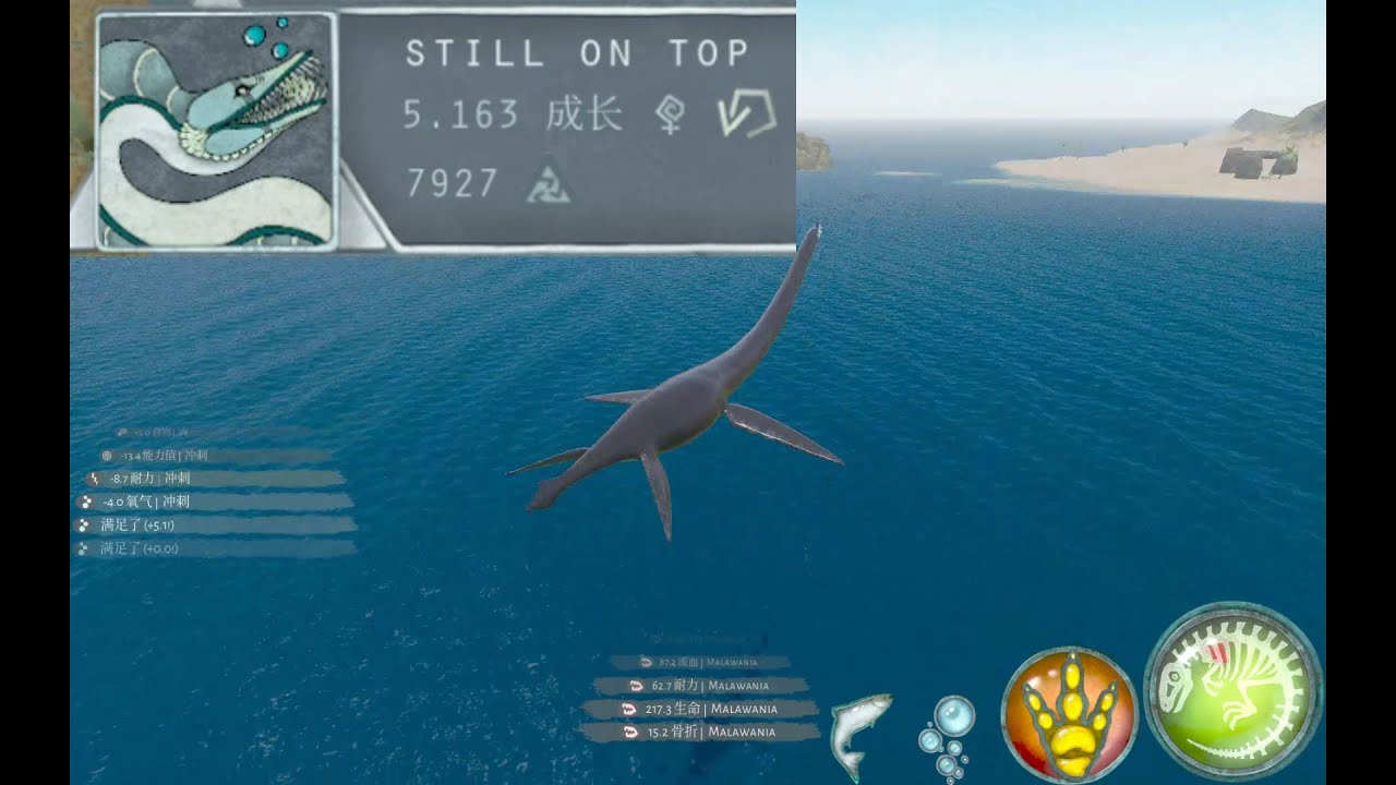 Tapkin 3.0-5.0+ Elasmo Experience II Beasts of Bermuda - YouTube