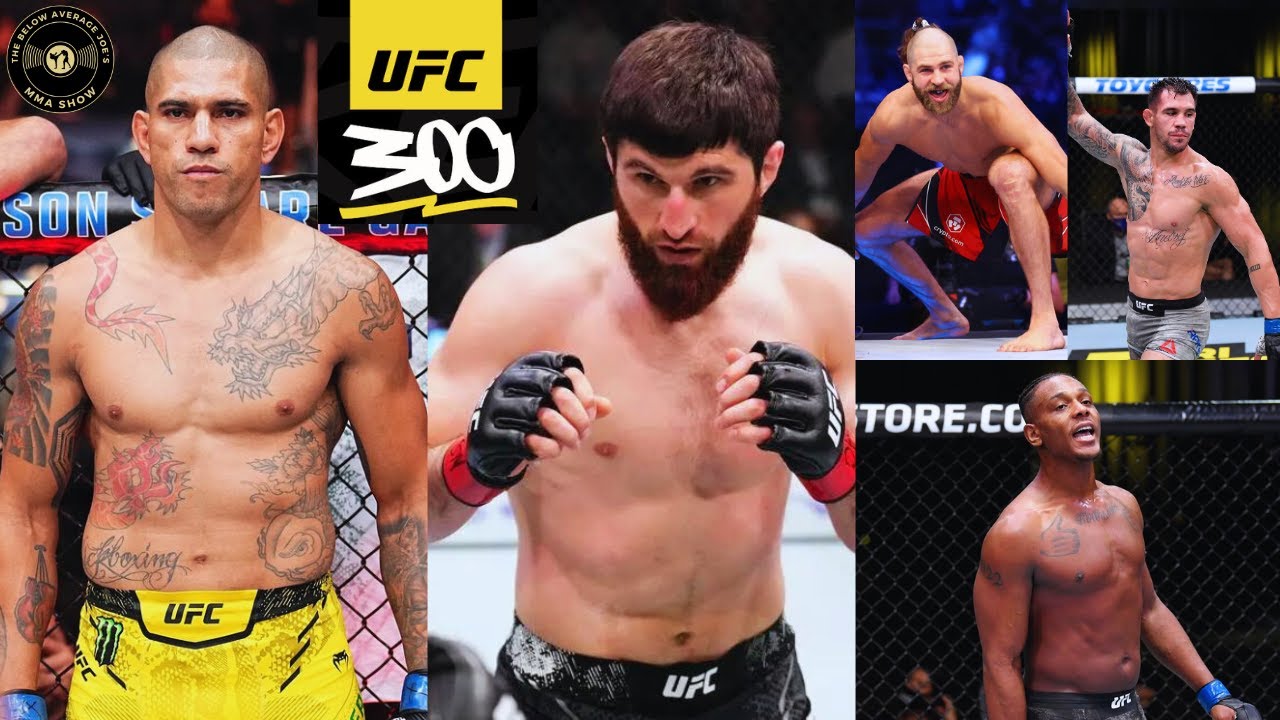 THIS is How the UFC Light Heavyweight Division Should Play Out in 2024 ...