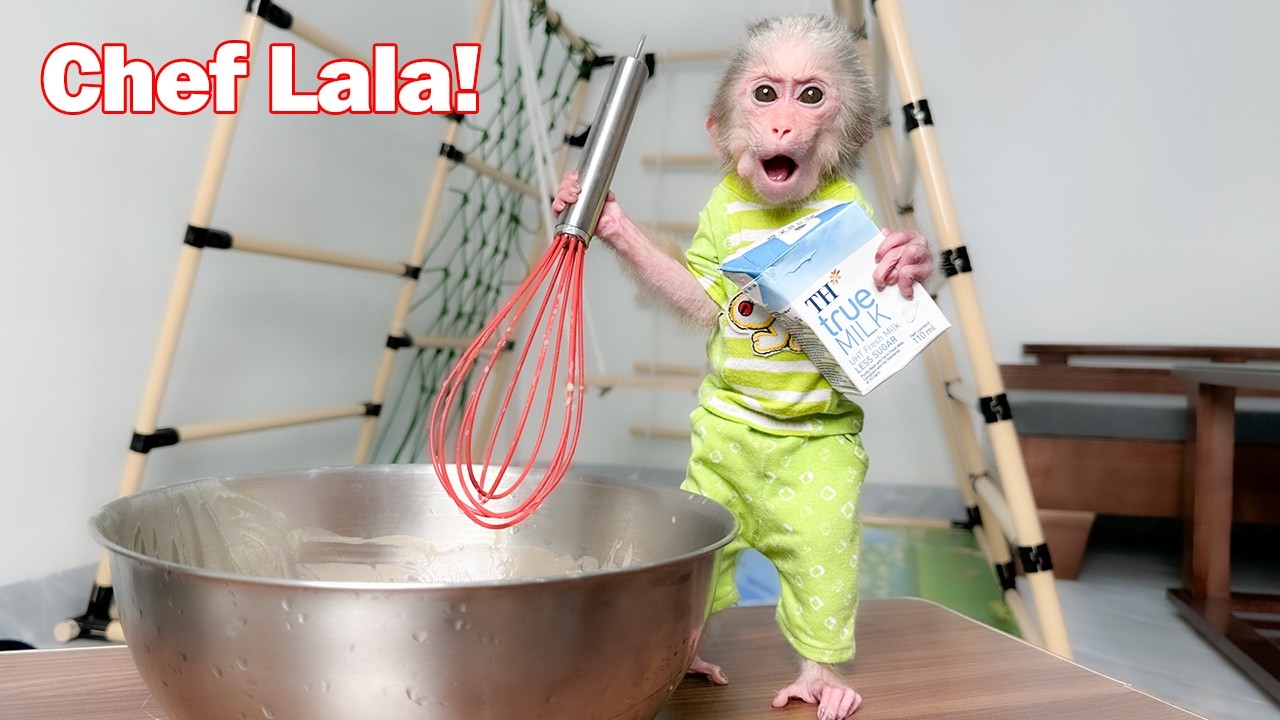 Lala helps Mom make delicious cakes for Bon and Siba! - YouTube