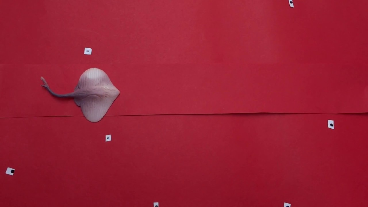 Free red screen foodages #51 - YouTube