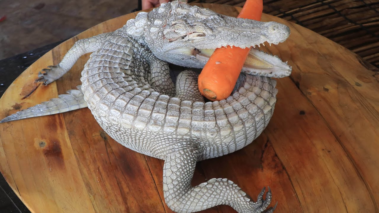 Catch & Cook Crocodile Stream Eating So Delicious - YouTube