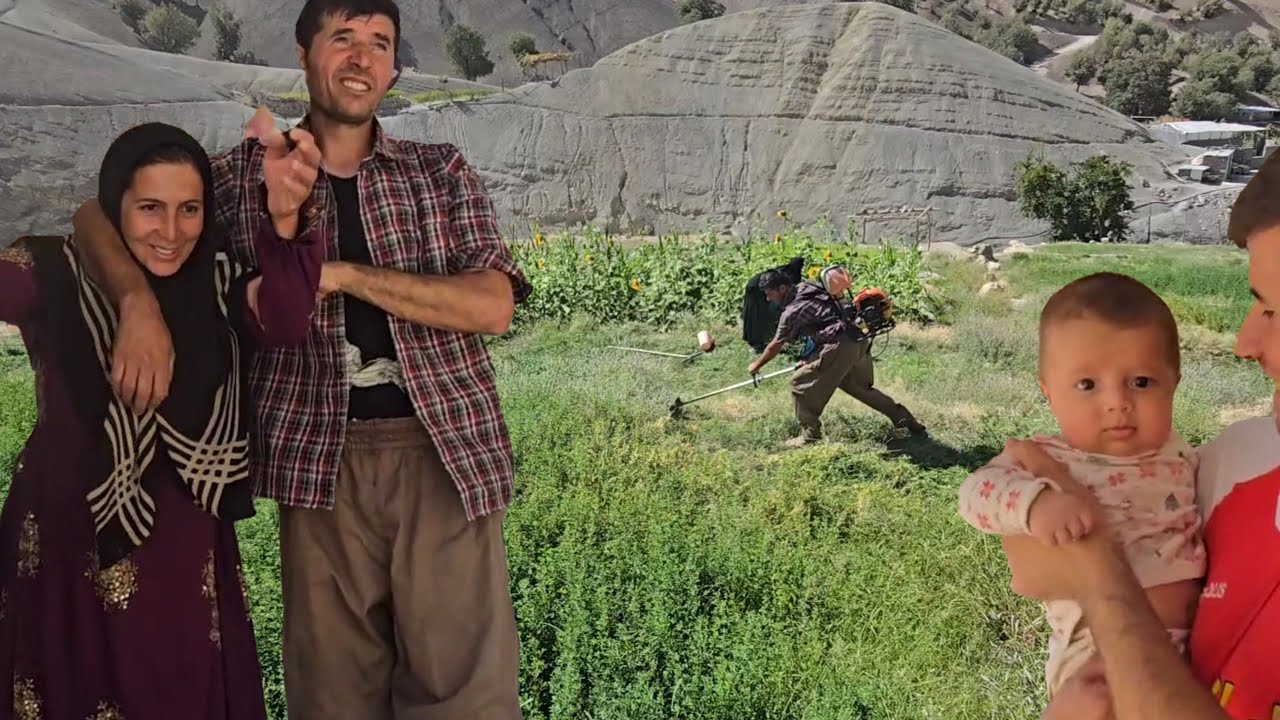 Harvesting the Atabak Farm: The Efforts of Atabak and Grandma - YouTube