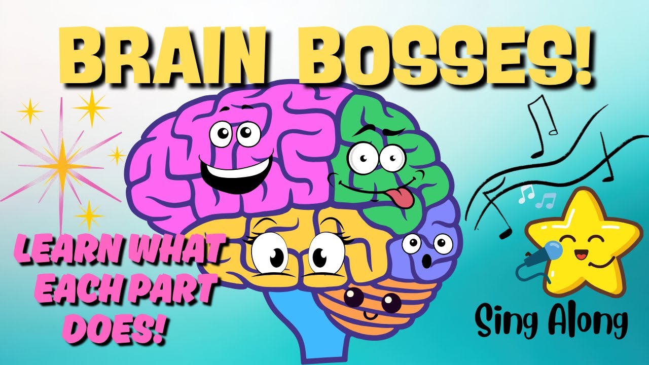 Parts of the Brain Song for Kids 🧠Learn Brain Parts & What They Do | STEM Song for Grades 2–4 ...