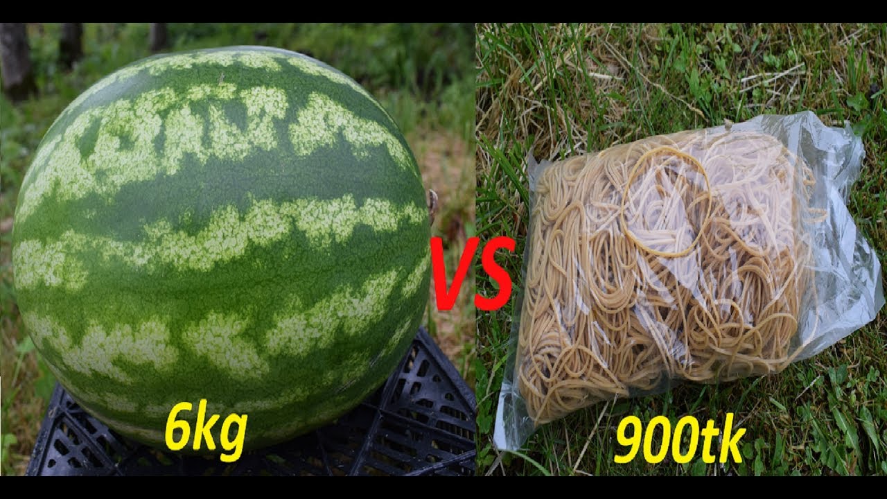 WATERMELON VS 900 RUBBER BANDS (will it explode?!) - YouTube